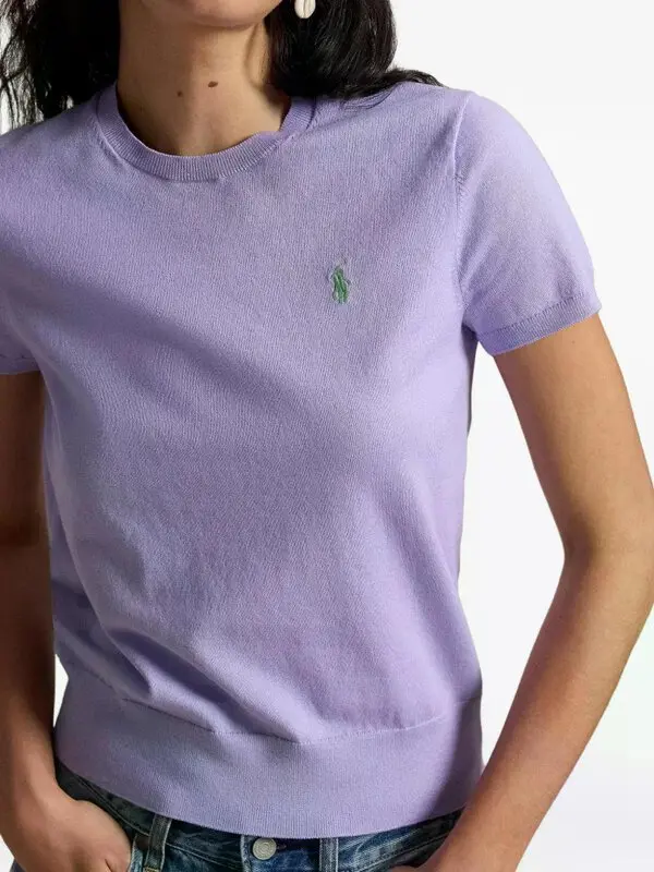Polo Ralph Lauren Embroidered Pony Crew Neck Sweater