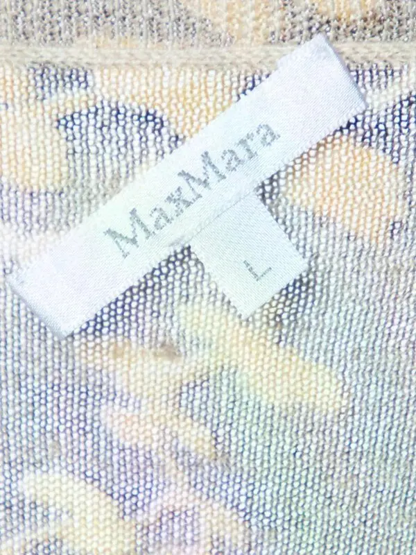 Max Mara Floral-print V-neck Sweater
