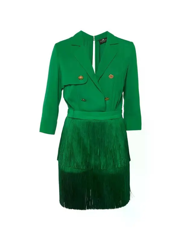 Elisabetta Franchi Fringe-detail Double-breasted Mini Dress - Green