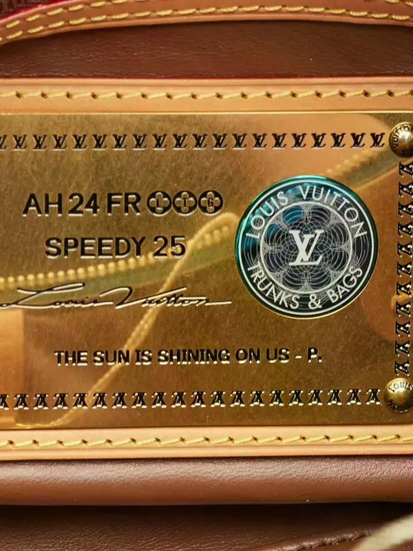 LOUIS VUITTON Speedy P9 Bandoulière Handbag - Blue