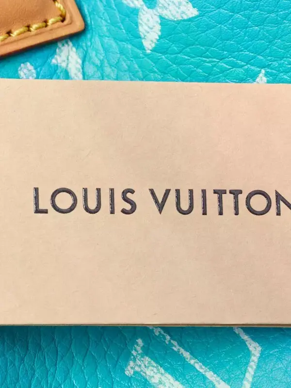 LOUIS VUITTON Speedy P9 Bandoulière Handbag