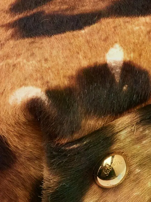 FERRAGAMO Leopard-print Tote Bag