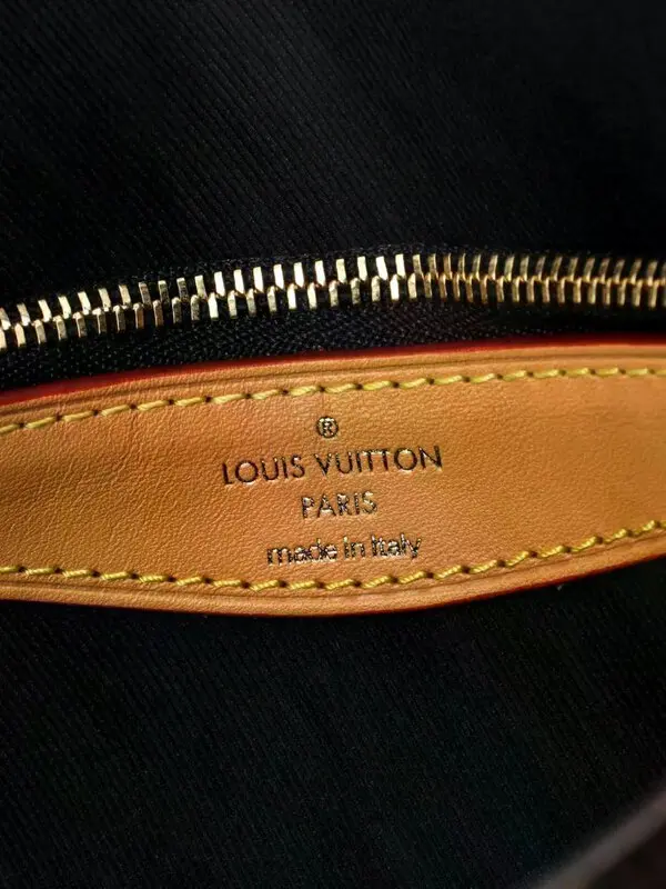 LOUIS VUITTON Monogram Canvas Diane Nm Handbag