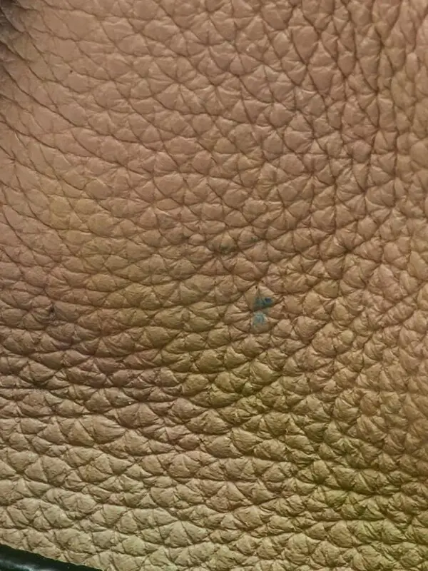 LOUIS VUITTON Monogram Canvas Tote Bag