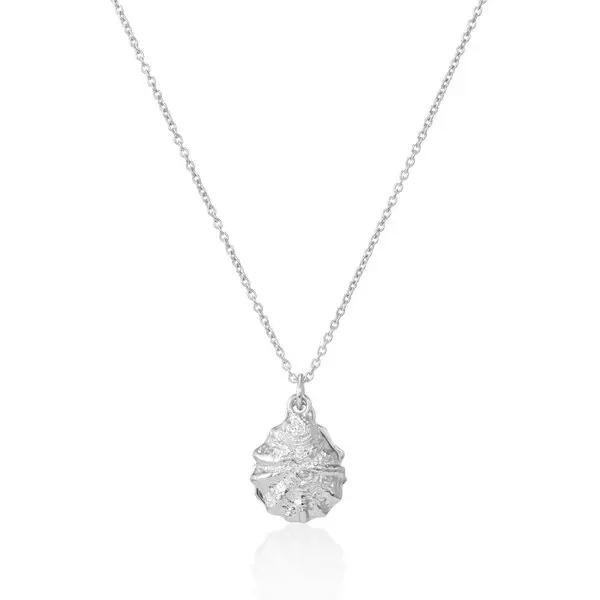 AUREE JEWELLERY Gaia Oyster Shell And Pearl Necklace - Silver