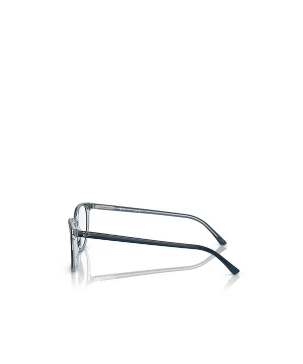 Ray-ban Elliot Glasses