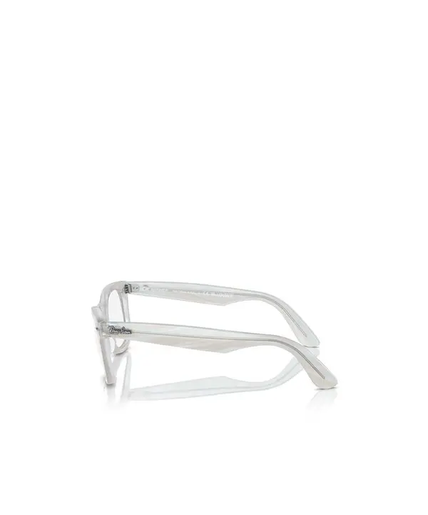 Ray-ban Wayfarer Ease Glasses