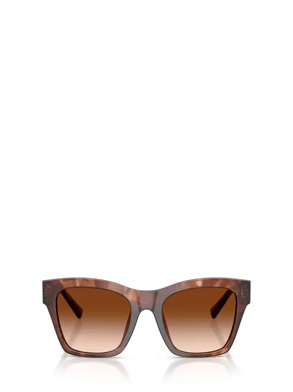 Dolce & Gabbana Full Frame Sunglasses