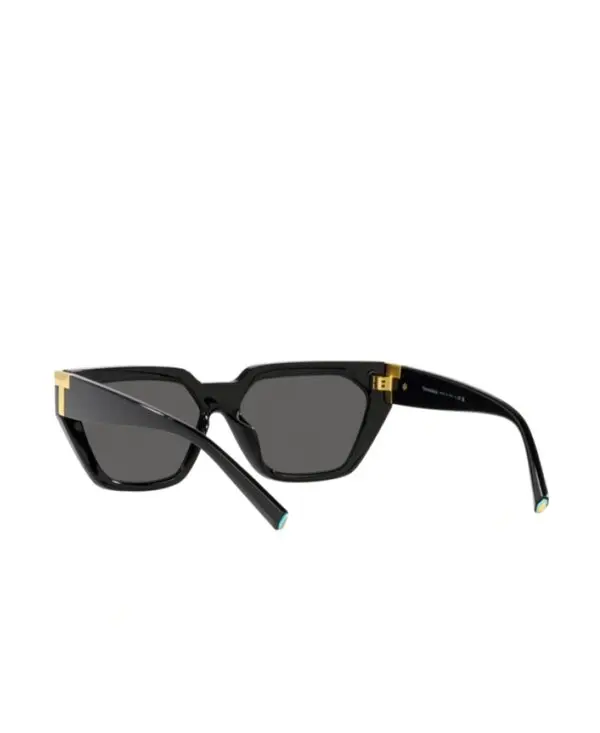 TIFFANY  CO. Tiffany Co. Cat-eye Frame Glasses