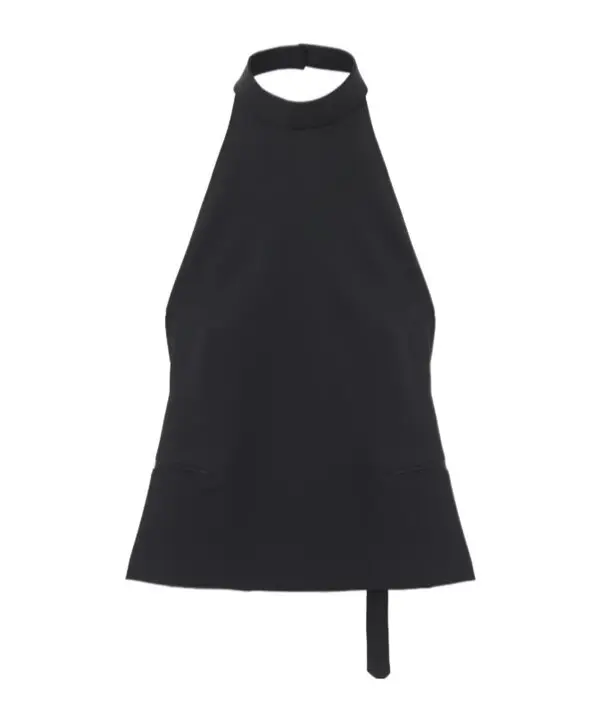 Alexander McQueen Halterneck Backless Top - Black