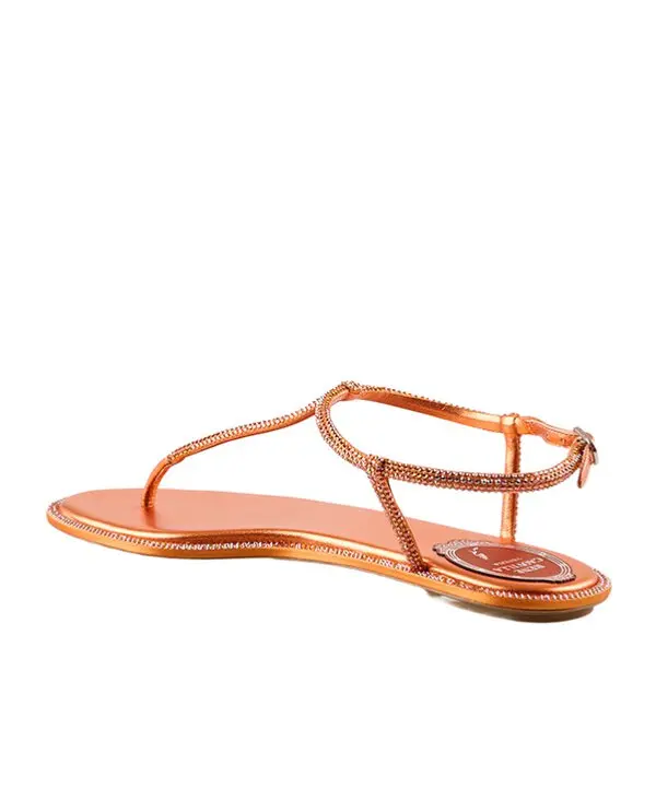 Rene Caovilla Round-toe Flat Sandals