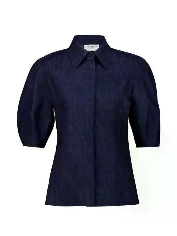 Gabriela Hearst Sansi Puffed-sleeve Top - Blue