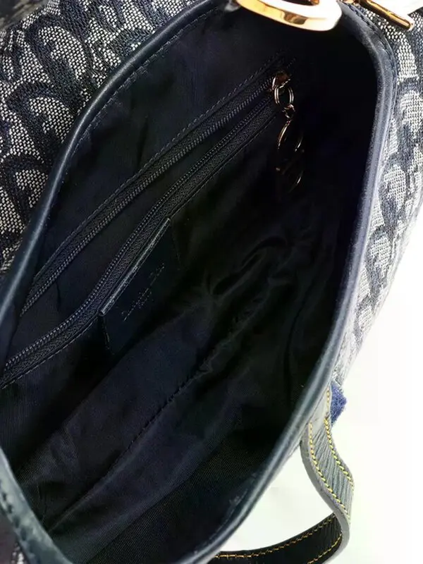 Dior Double Saddle Bag Shoulder Bag
