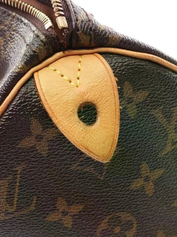 LOUIS VUITTON Monogram Canvas Speedy 25 Tote Bag
