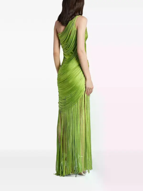 David Koma One-shoulder Fringed Maxi Dress