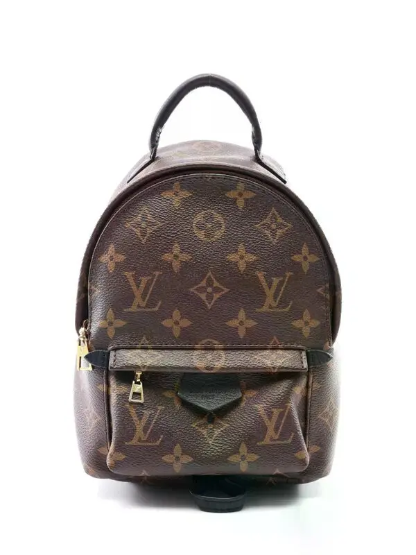 LOUIS VUITTON Mini Palm Springs Backpack - Brown