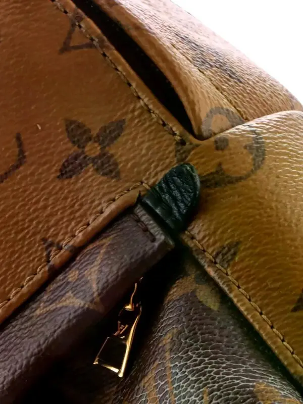 LOUIS VUITTON Palm Springs Mini Backpack