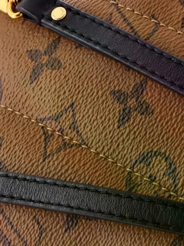 LOUIS VUITTON Palm Springs Mini Backpack