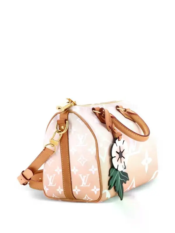 LOUIS VUITTON Speedy Bandouliere 25 Monogram Giant Satchel - Neutrals