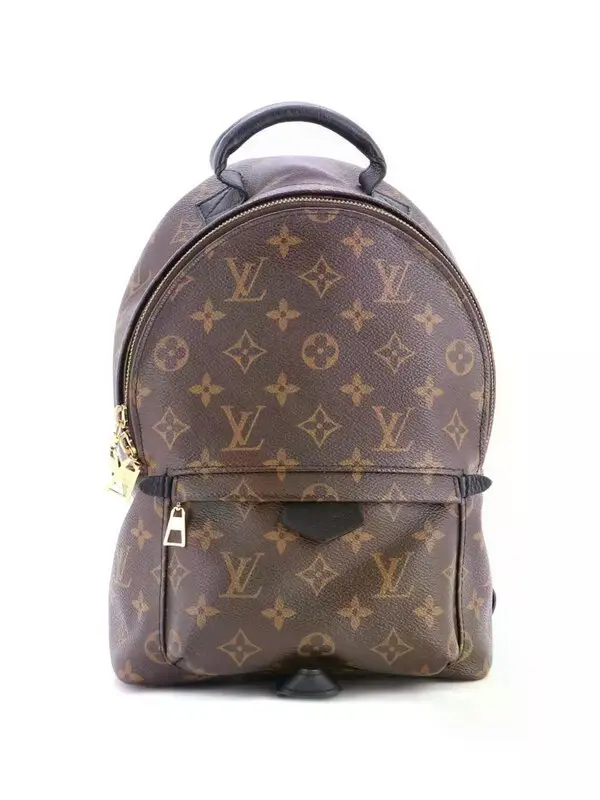 LOUIS VUITTON Palm Springs Monogram Canvas Pm Backpack - Brown