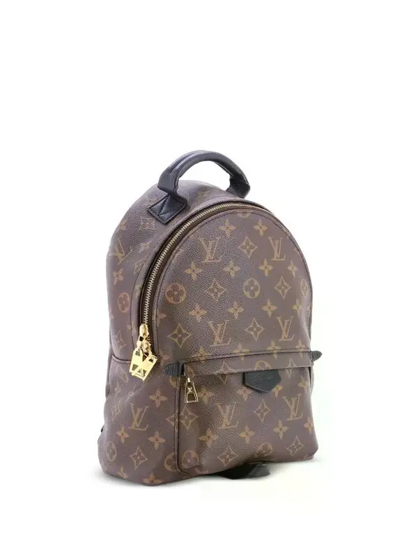 LOUIS VUITTON Palm Springs Monogram Canvas Pm Backpack - Brown