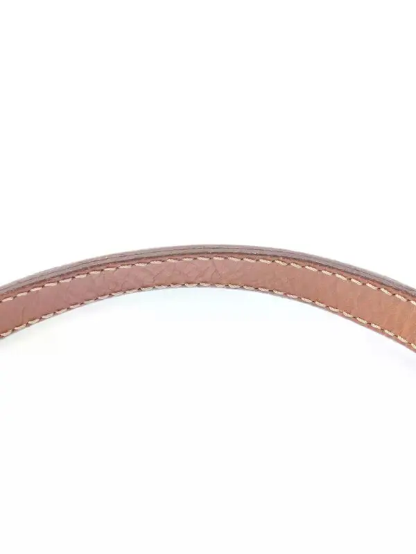 Celine Triomphe Canvas Crossbody Bag