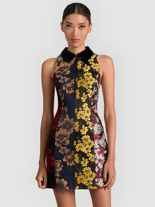 Alice + Olivia Velia Collared Mini Dress