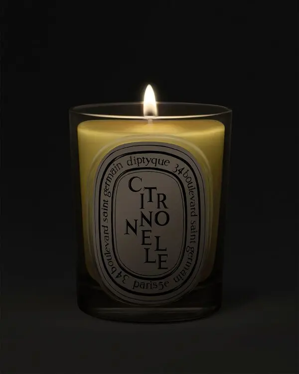 DIPTYQUE Citronnelle Classic Candle 6.7 Oz
