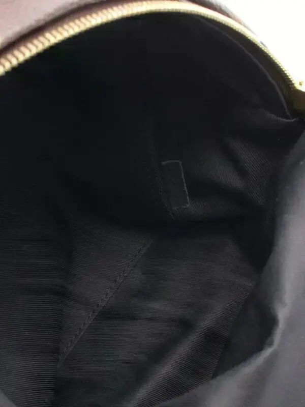 LOUIS VUITTON 2019 Palm Springs Backpack