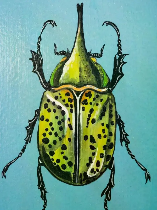 LES-OTTOMANS Beetle-print Oval Tray