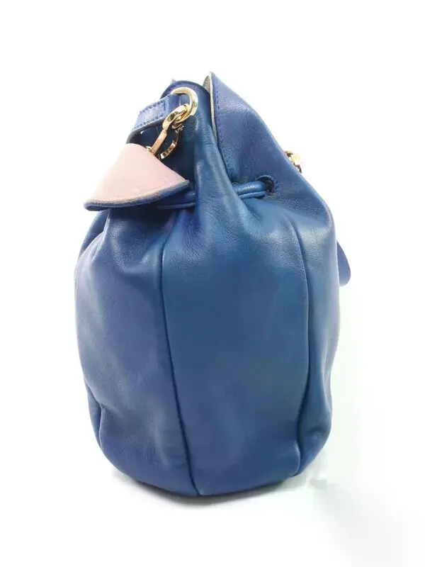 Loewe Micro Flamenco Bucket Bag