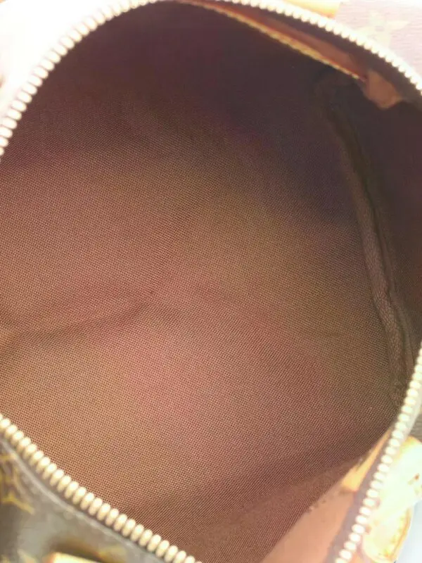 LOUIS VUITTON Monogram Speedy 25 Handbag