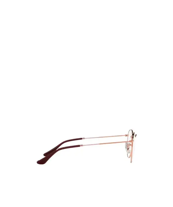 Ray-ban Round Frame Glasses