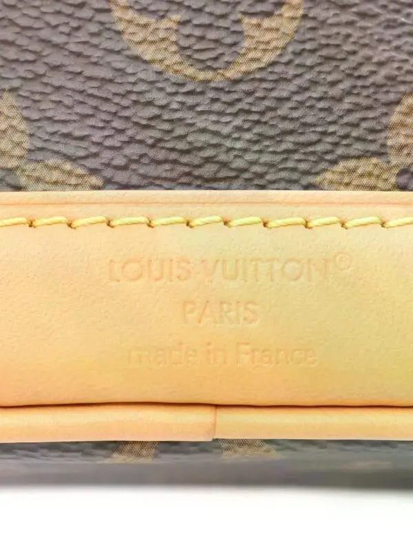 LOUIS VUITTON Nano Noé Monogram Bucket Bag