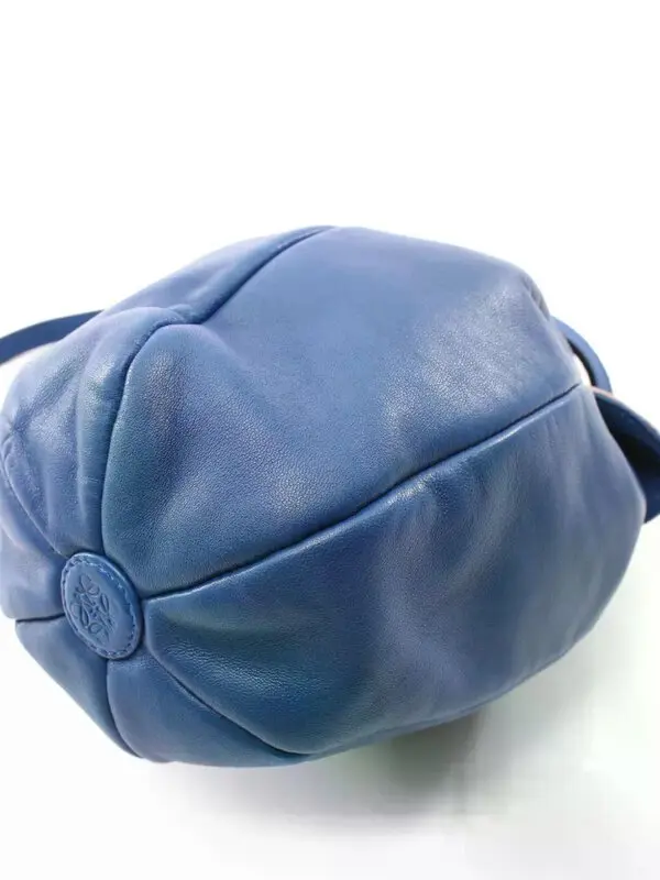 Loewe Micro Flamenco Bucket Bag