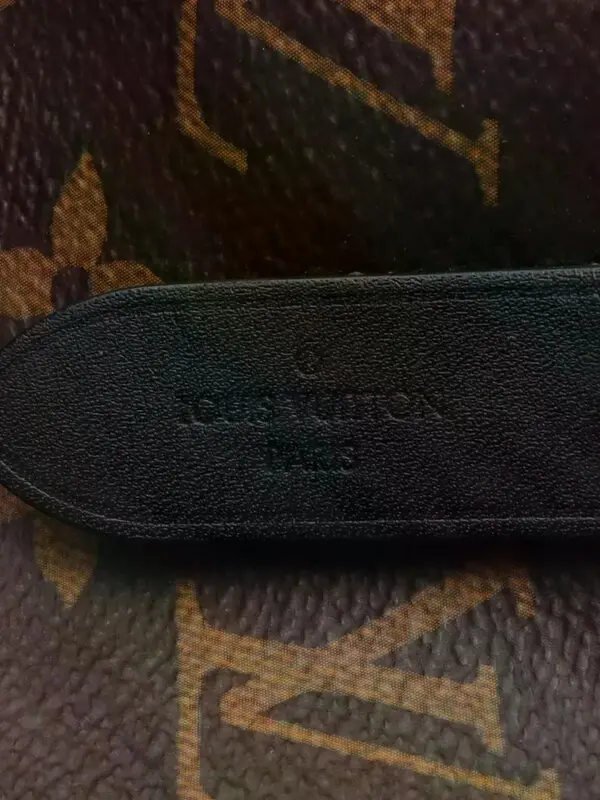 LOUIS VUITTON 2021 Néonoé Monogram Bucket Bag