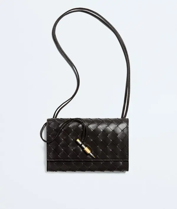 Bottega Veneta Andiamo Pouch On Strap - Espresso