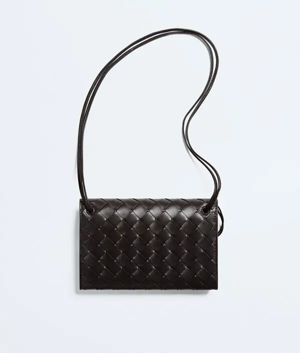 Bottega Veneta Andiamo Pouch On Strap