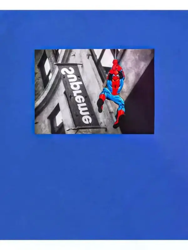 Supreme Spider-man T-shirt - Blue