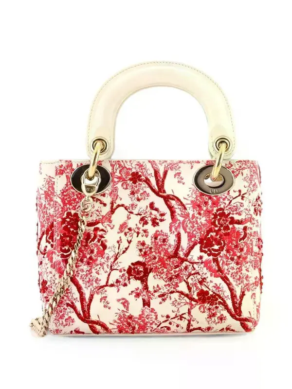 Dior Lady Chain Bag Embroidered Calfskin Mini Satchel - Red