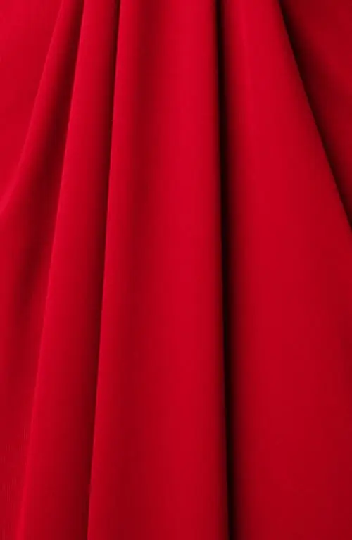 Adrianna Papell Ruched Drape Sleeveless Jersey Gown
