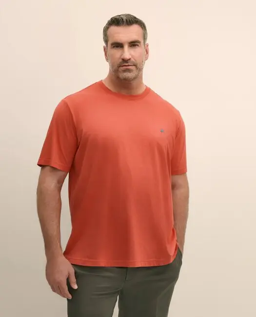 Brooks Brothers S Big & Tall Supima Cotton T-shirt - Rust