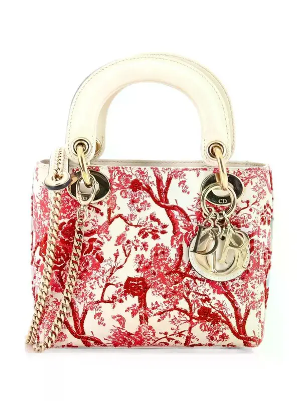 Dior Lady Chain Bag Embroidered Calfskin Mini Satchel - Red