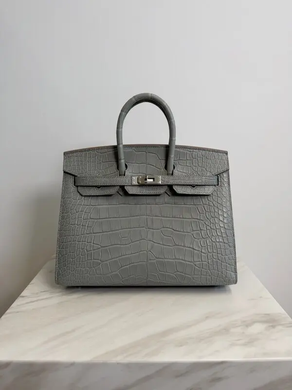 Hermès Birkin Matte Alligator Palladium Hardware