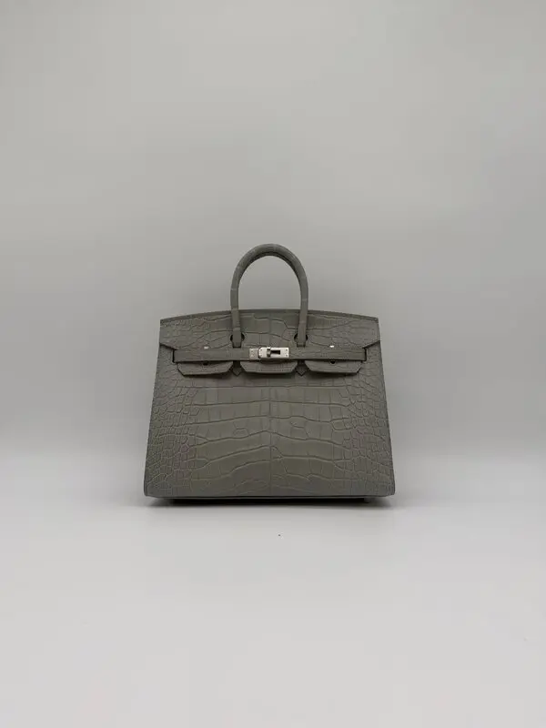 Hermès Birkin Matte Alligator Palladium Hardware