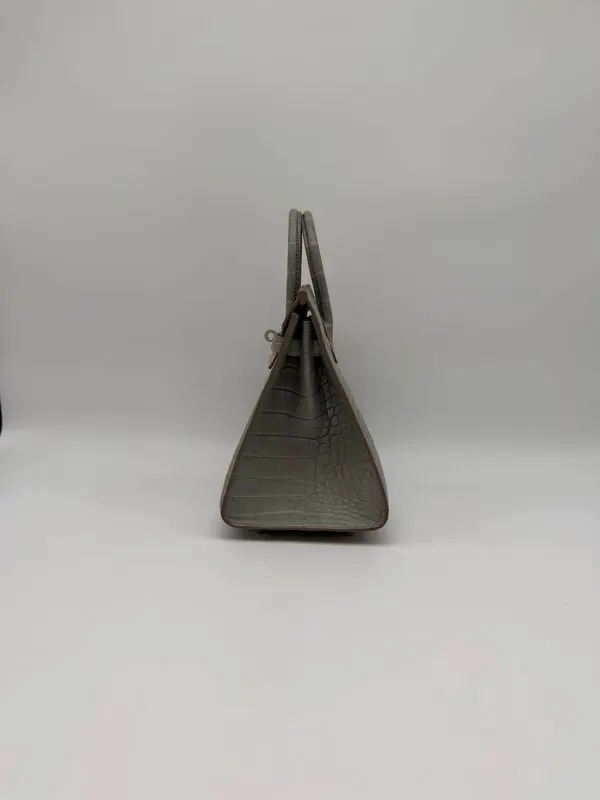 Hermès Birkin Matte Alligator Palladium Hardware
