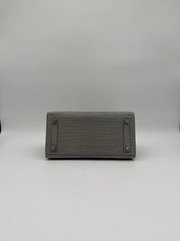 Hermès Birkin Matte Alligator Palladium Hardware