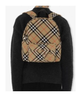 Burberry Check-printed Zipped Small Backpack