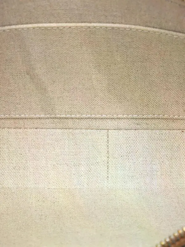 Celine Canvas And Calfskin Triomphe Camera Shoulder Bag