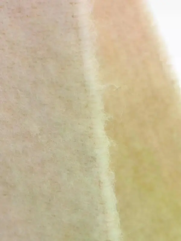 Loewe 2010s Anagram Bicolor Scarf